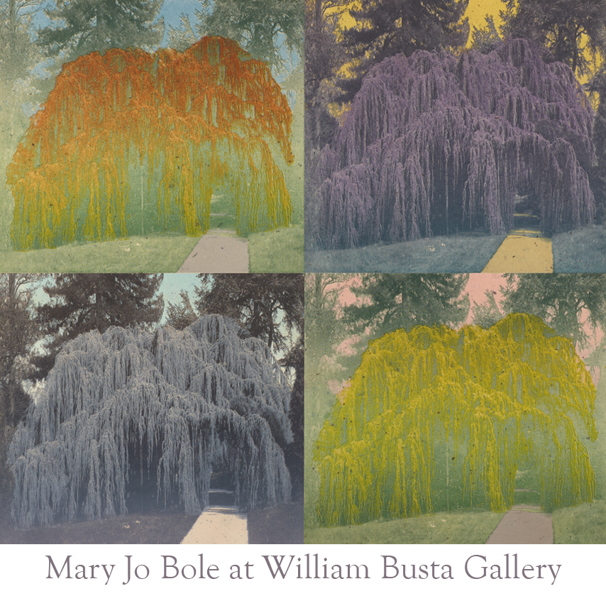 Mary Jo Bole » Exhibitions & Press
